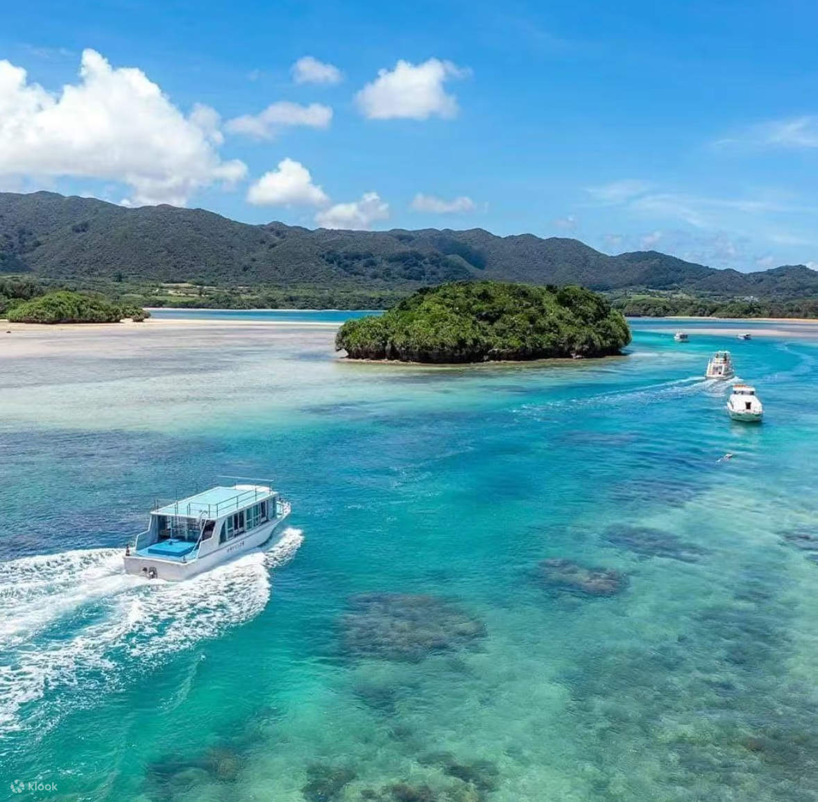 [Cruise Ship Shore Excursion] Ishigaki Island Fun Trip | Shore ...